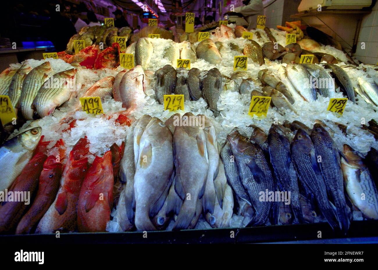 Fish stall in the market hall of China Town, New York City [automated ...
