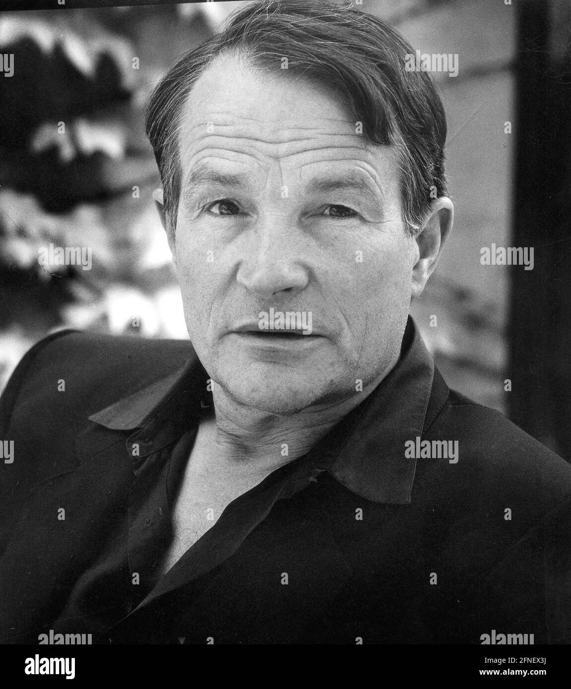 Peter stein hi-res stock photography and images - Alamy