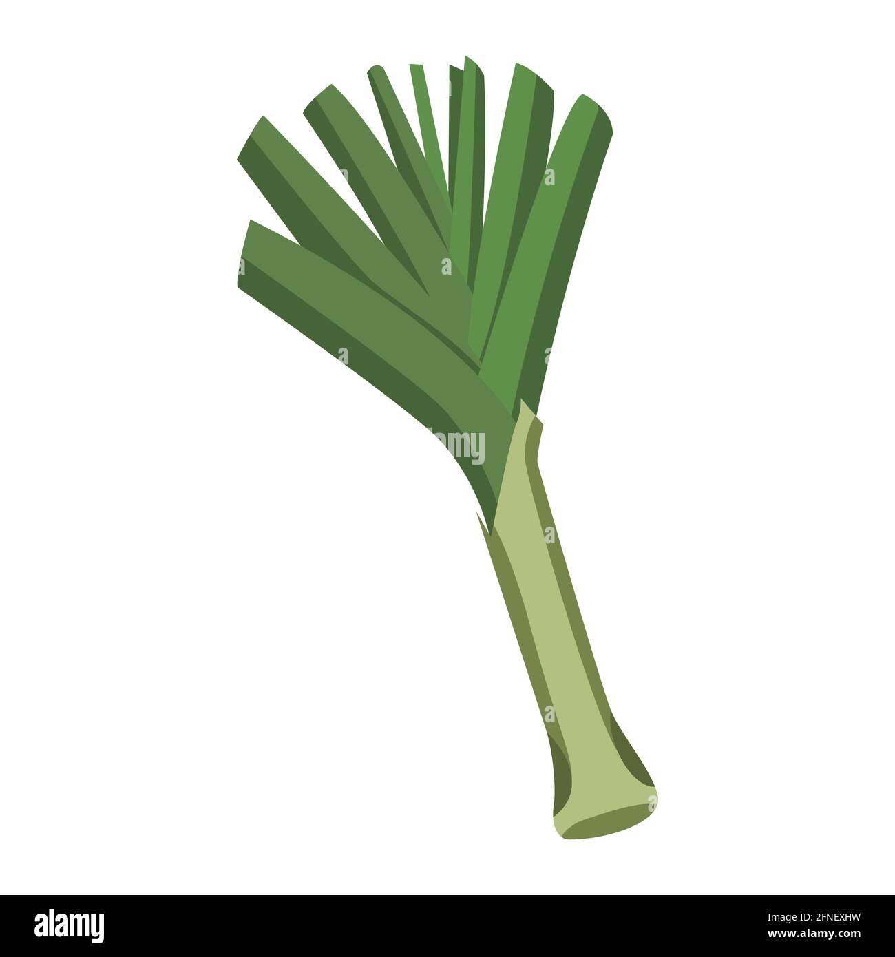 leek illustration vector isolated on white background Stock Vector ...