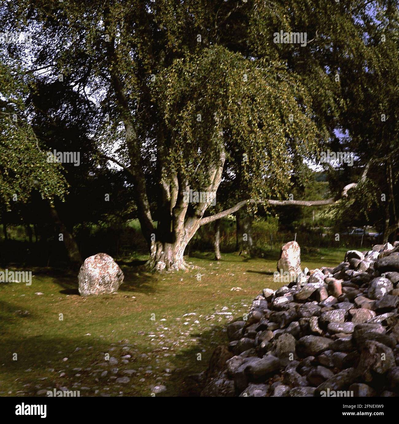 Scotland: Clava Claims near Inverness, one of the most important ...