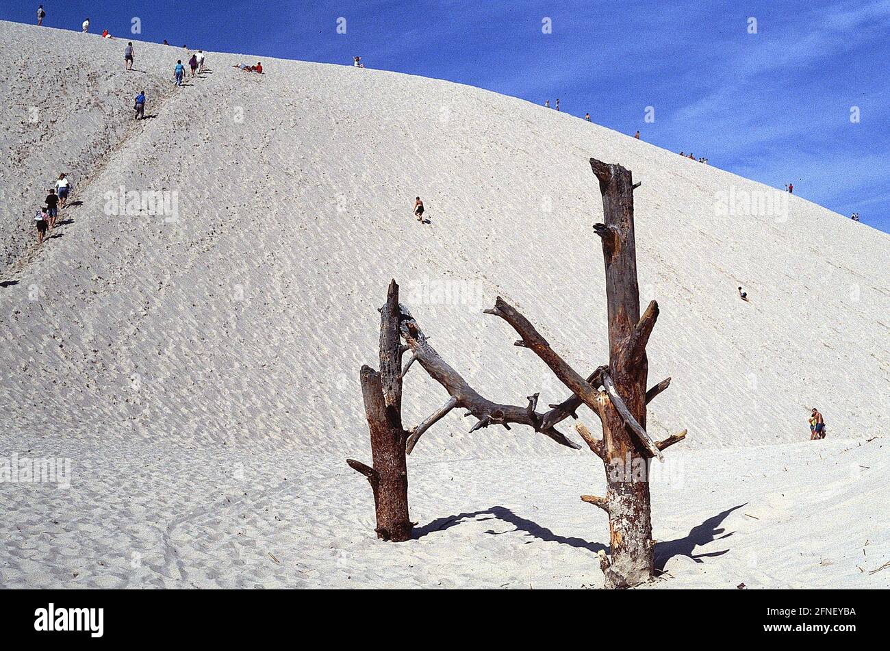 Shifting sand dunes near Leba on the Pomeranian coast. [automated ...