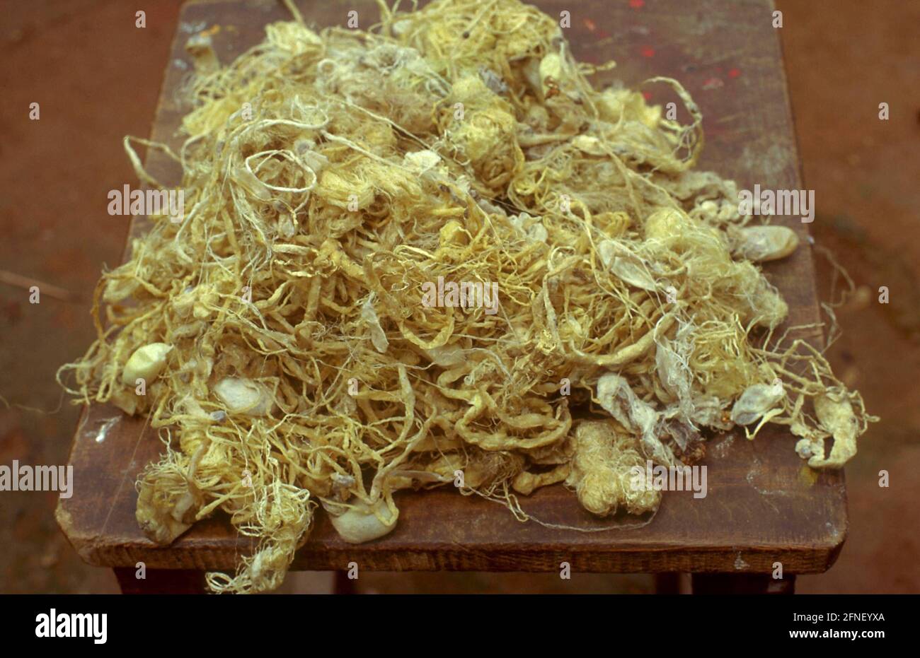 The beginnings of silk threads and rejects are the waste product of ...