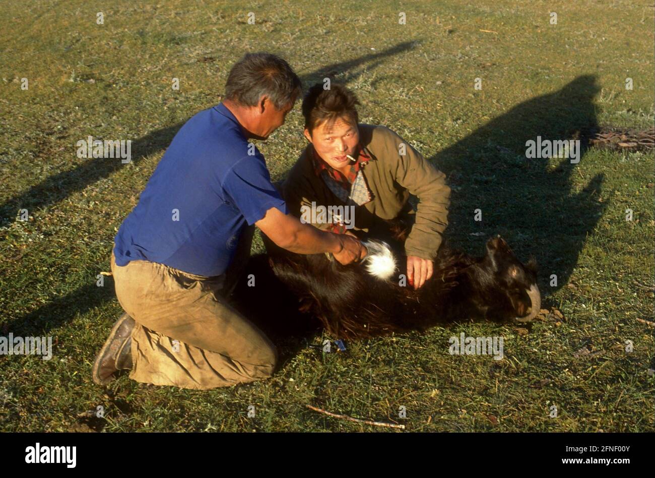 Slit diaphragm hi-res stock photography and images - Alamy