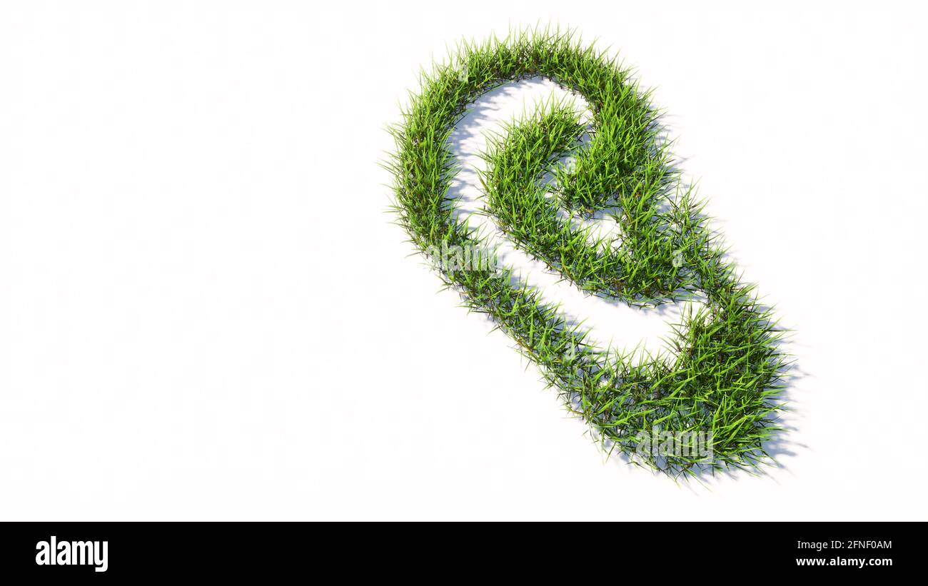 Concept or conceptual green summer lawn grass isolated on white ...