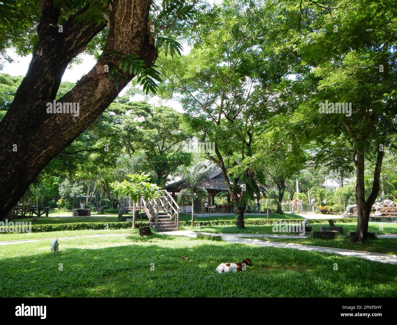 Two goats grazing by a fountain at The Water Garden, Bacolod ...