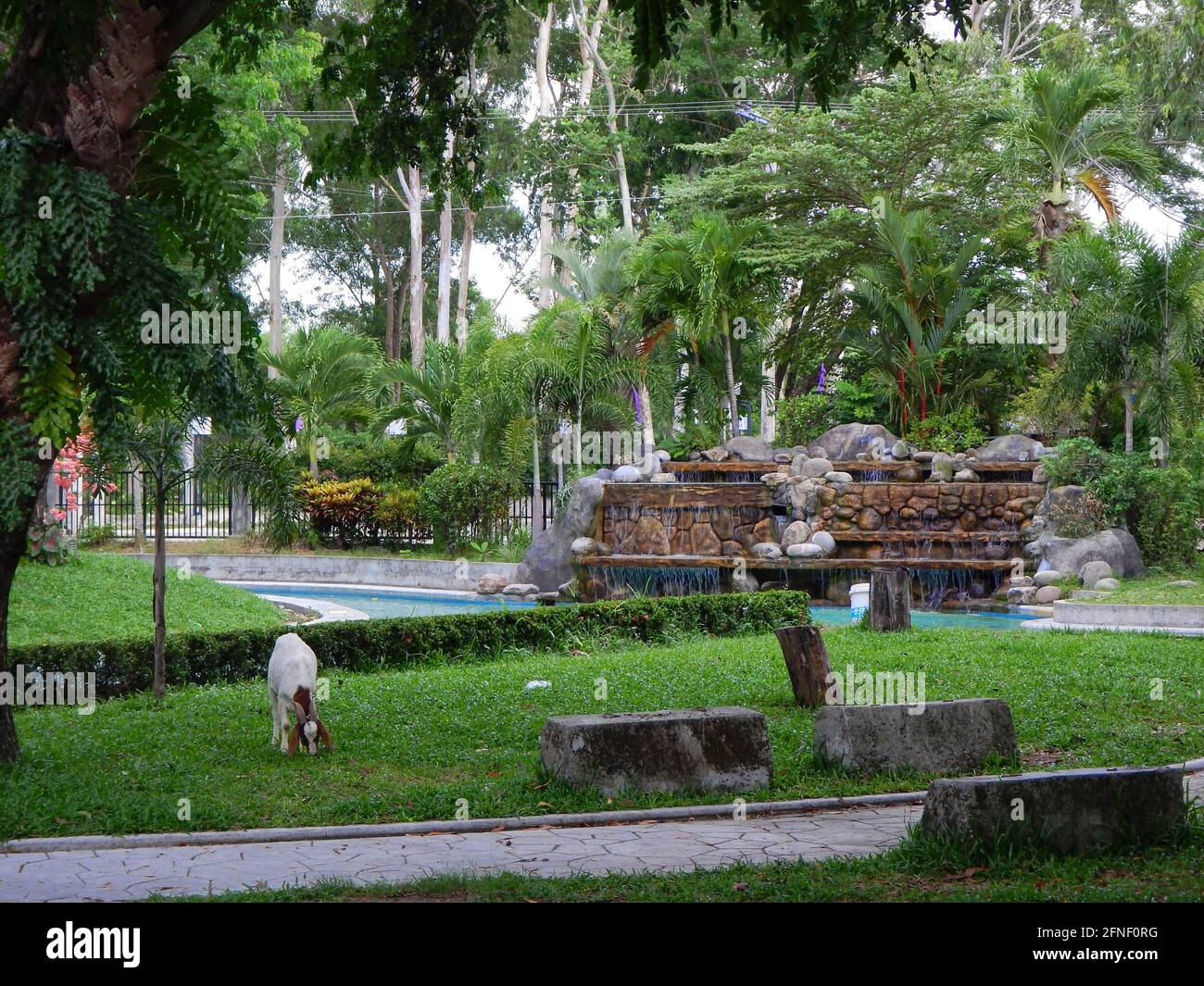 Goat fountain hi-res stock photography and images - Alamy