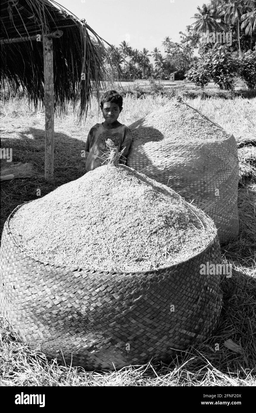 Ration of rice hi-res stock photography and images - Alamy
