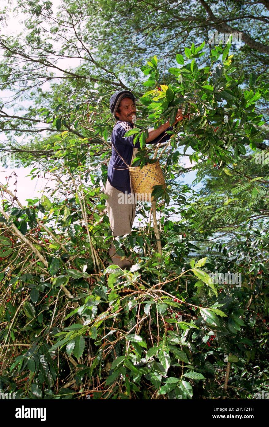 Ermera hi-res stock photography and images - Alamy