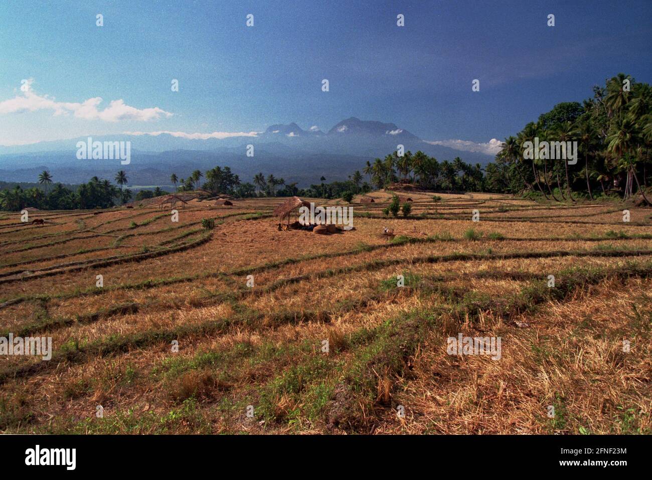 Landscape near Baucau. In the background Mount Matebian. [automated ...