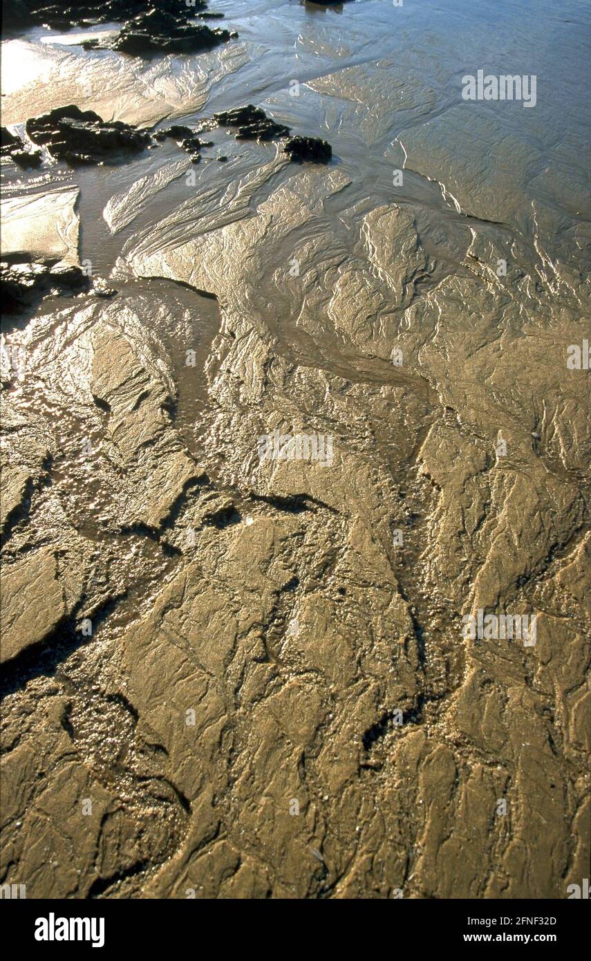 Tracks dug into the sand of a beach by the draining water. [automated ...