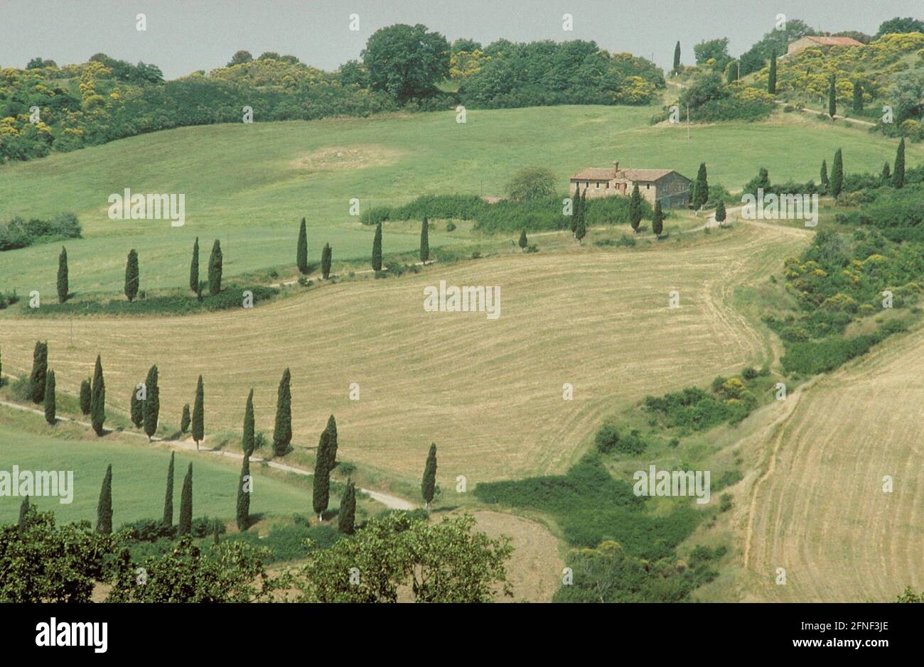 Typical Tuscan landscape. [automated translation] Stock Photo - Alamy