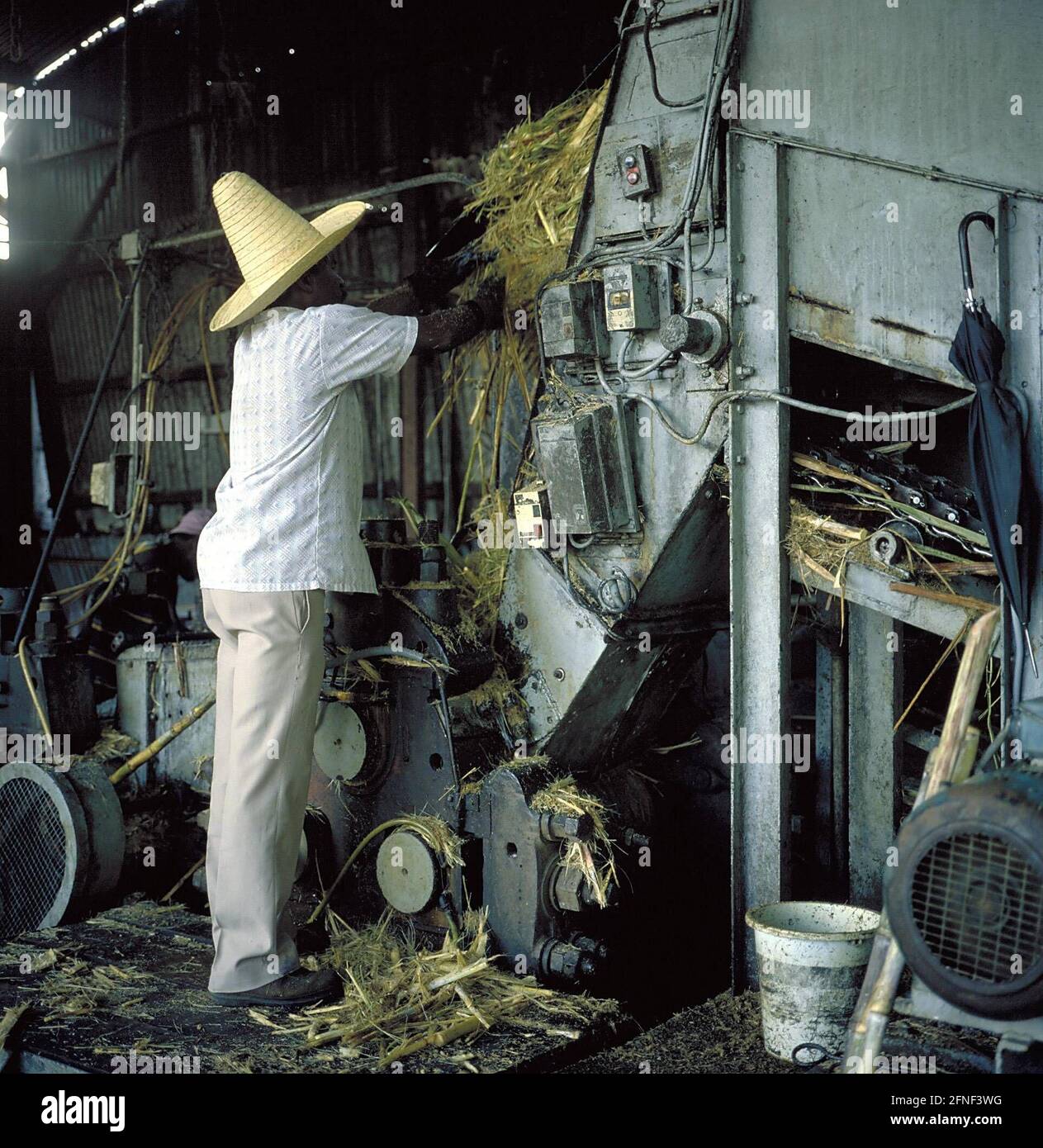 Workers in a sugar cane distillery at the Domaine de Séverin on the ...