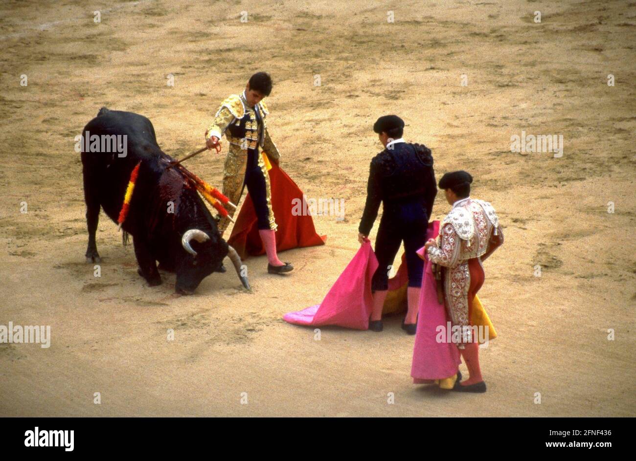 Toreros at the bullfight in the arena. [automated translation] Stock ...