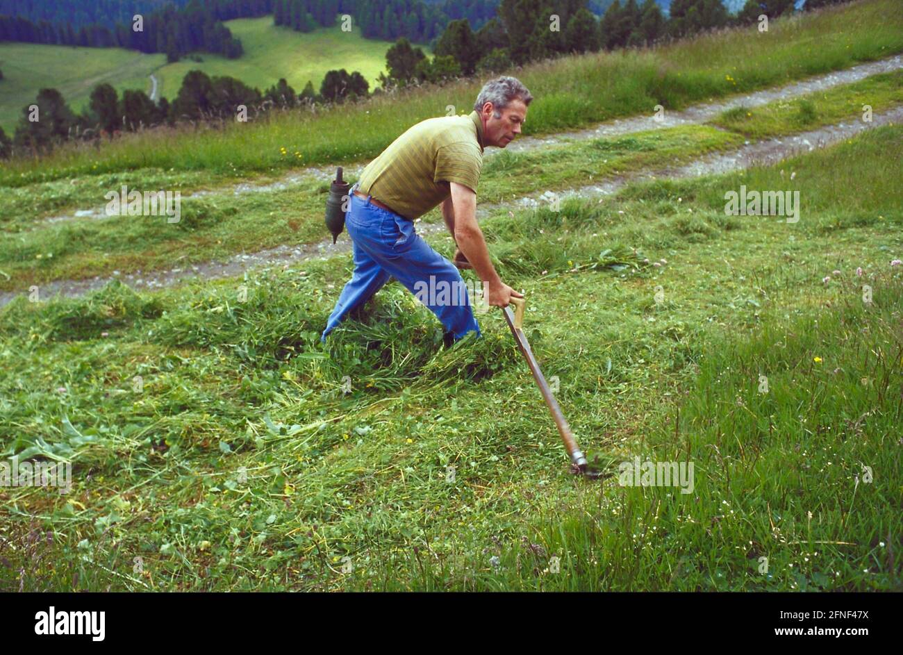 Grass Scythe Cutting Demonstration
