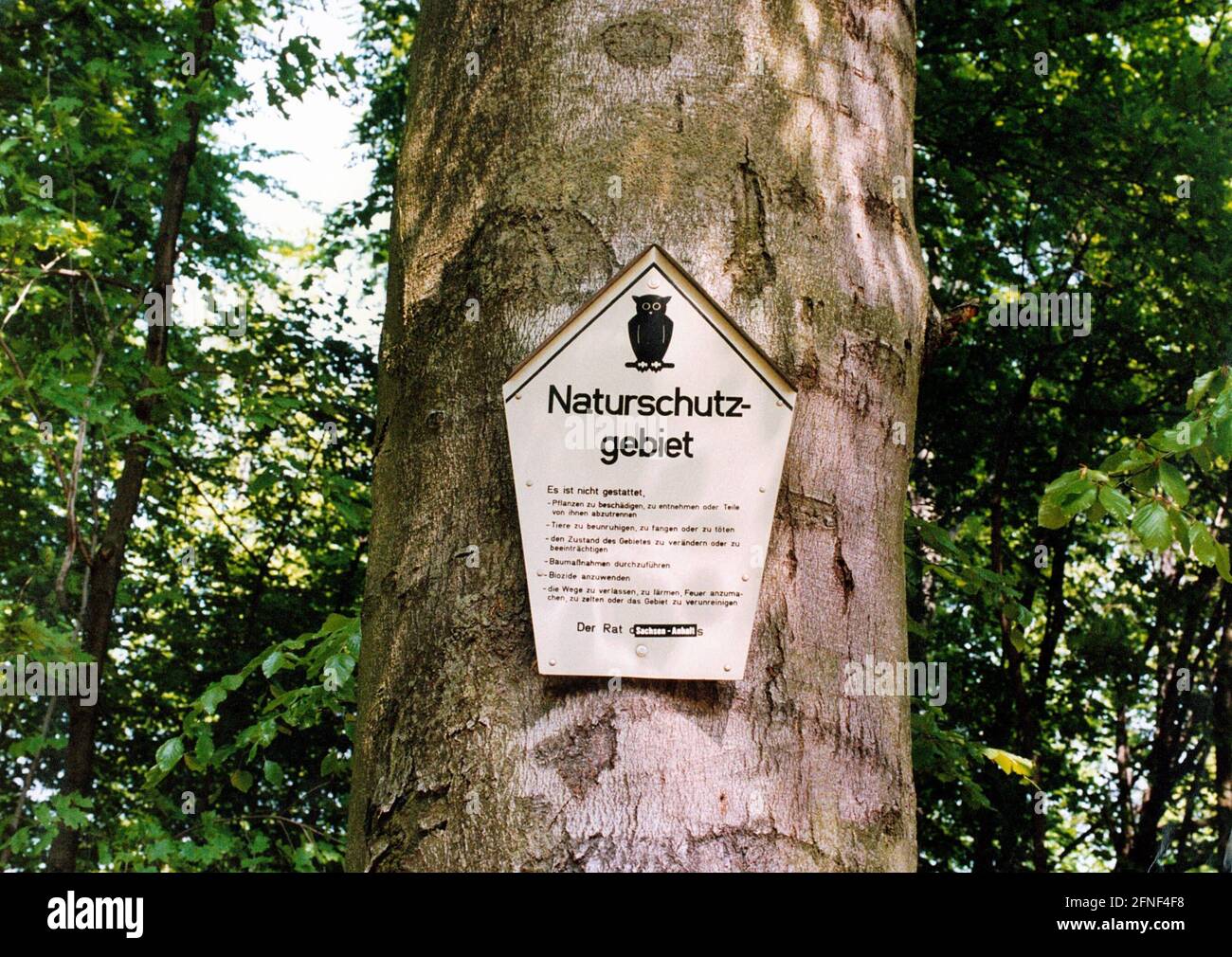 "The sign ""Nature reserve"", which is attached to a tree in a forest ...