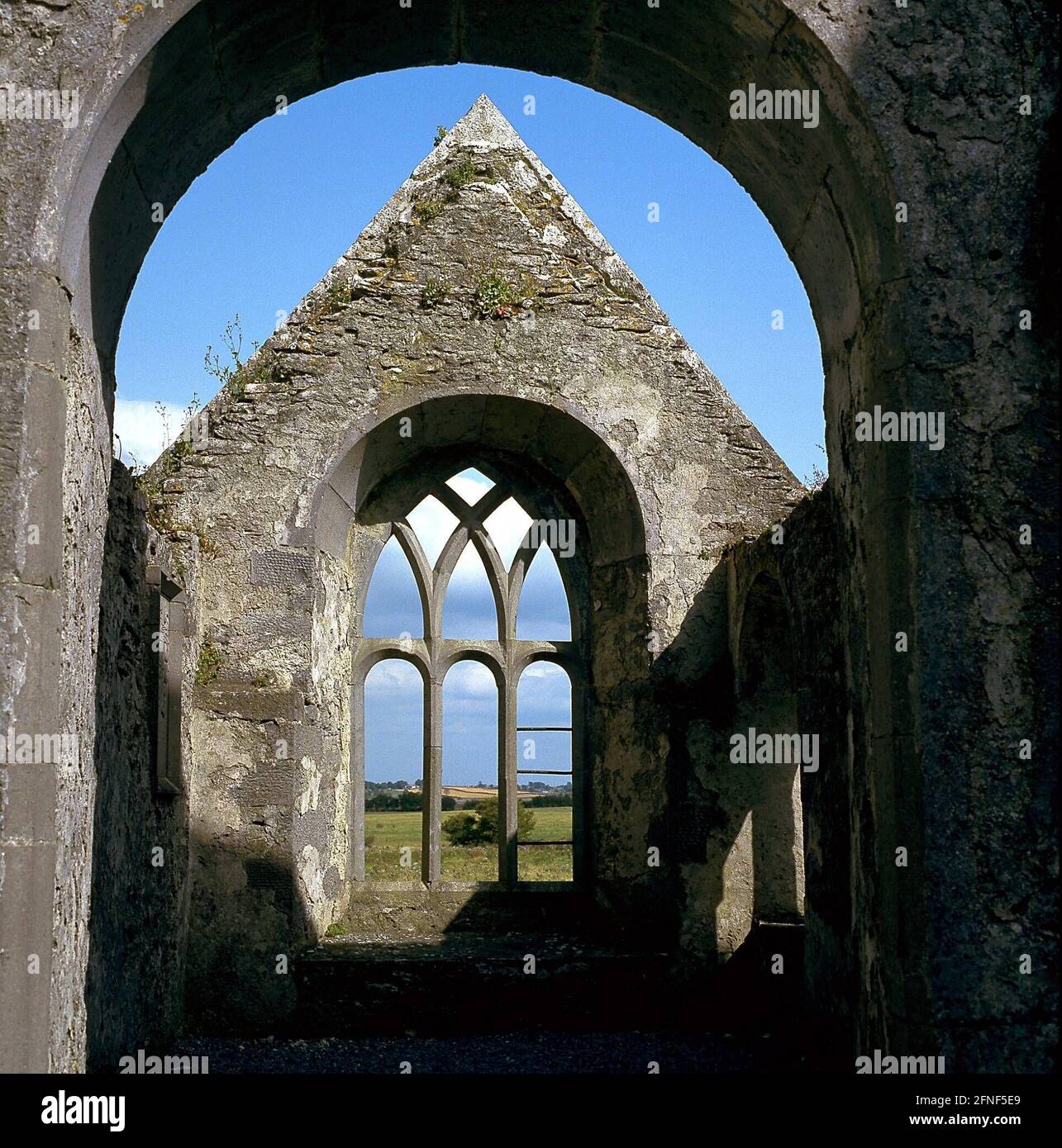 Ruins of the former Franciscan abbey from the 14th century. [automated ...