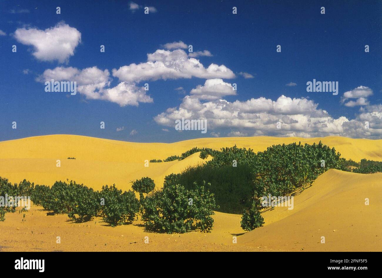 Medanos de coro national park hi-res stock photography and images - Alamy