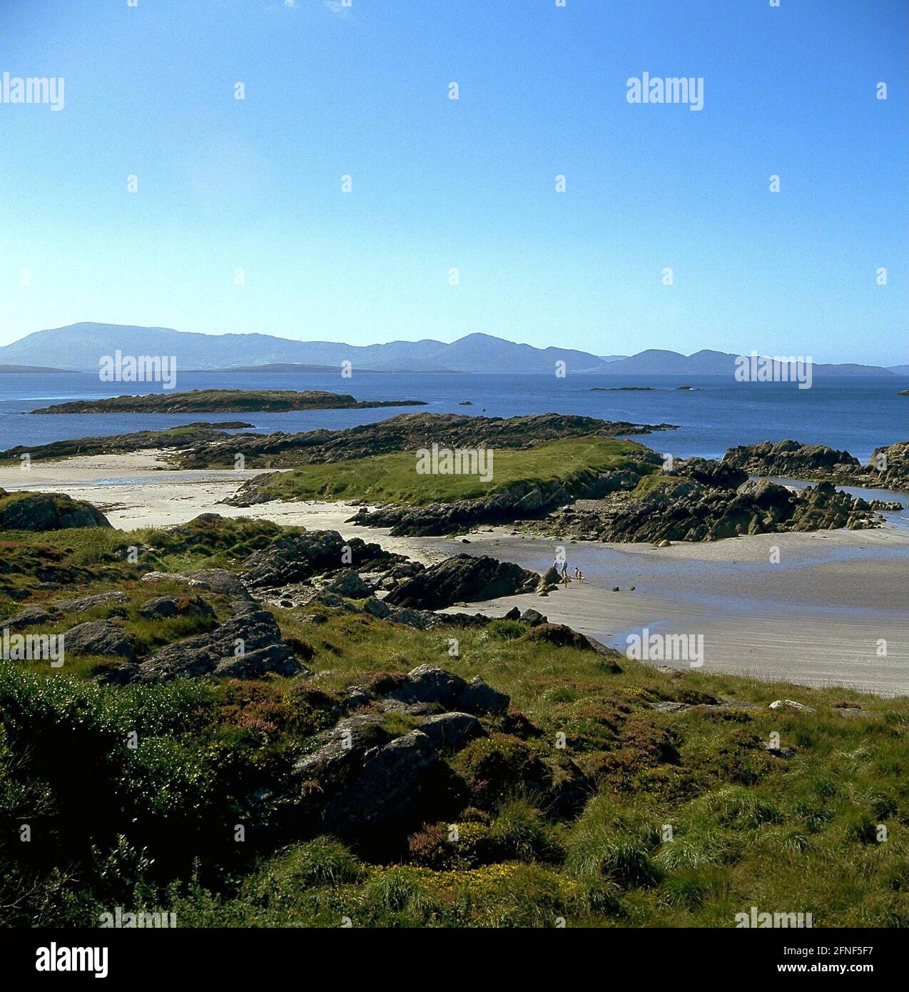 Beach at Castlecoye at the Kenmare River. [automated translation] Stock ...