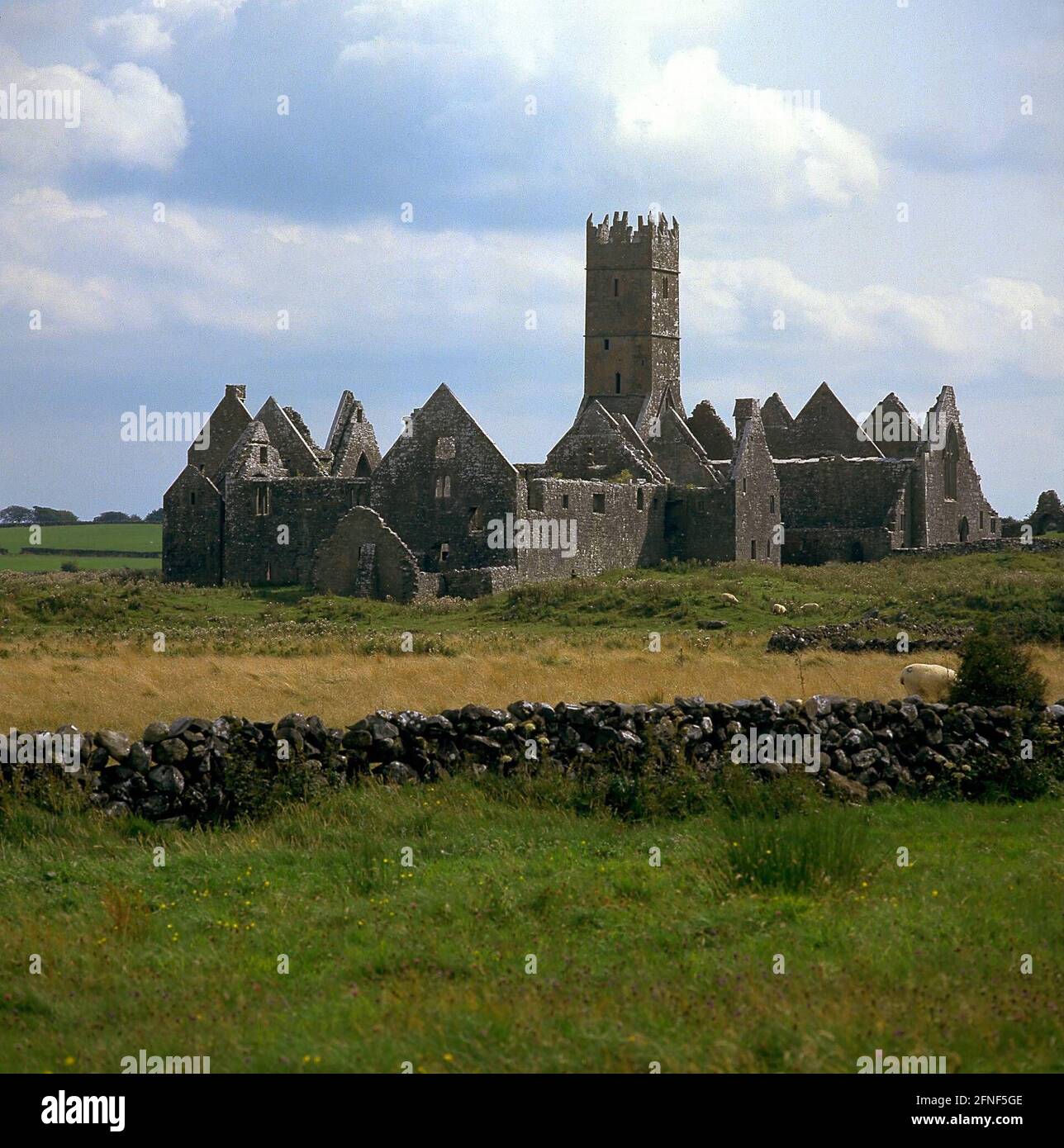 View of the ruins of the former Franciscan abbey from the 14th century ...