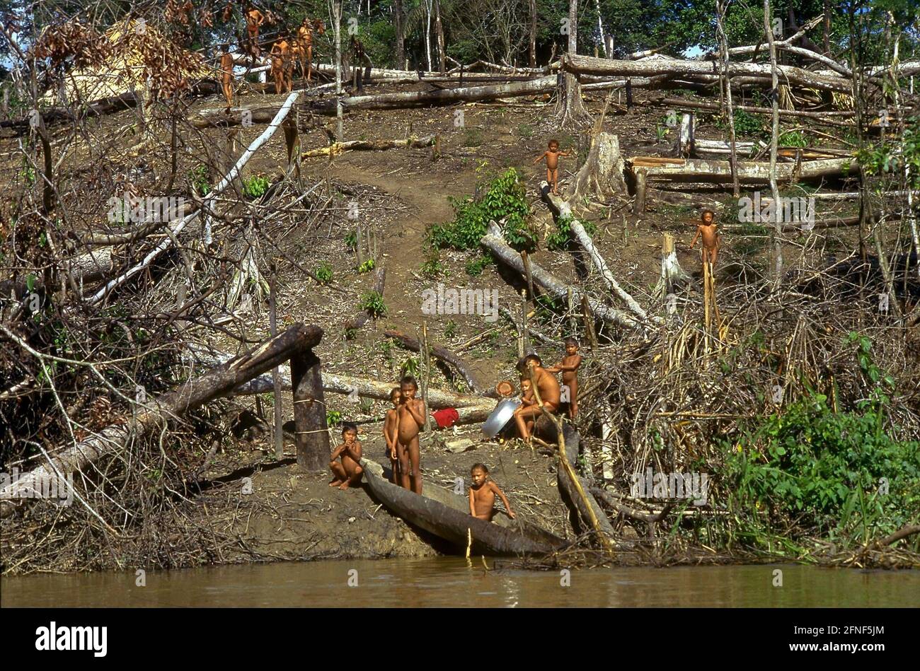 Yanomami boy hi-res stock photography and images - Alamy
