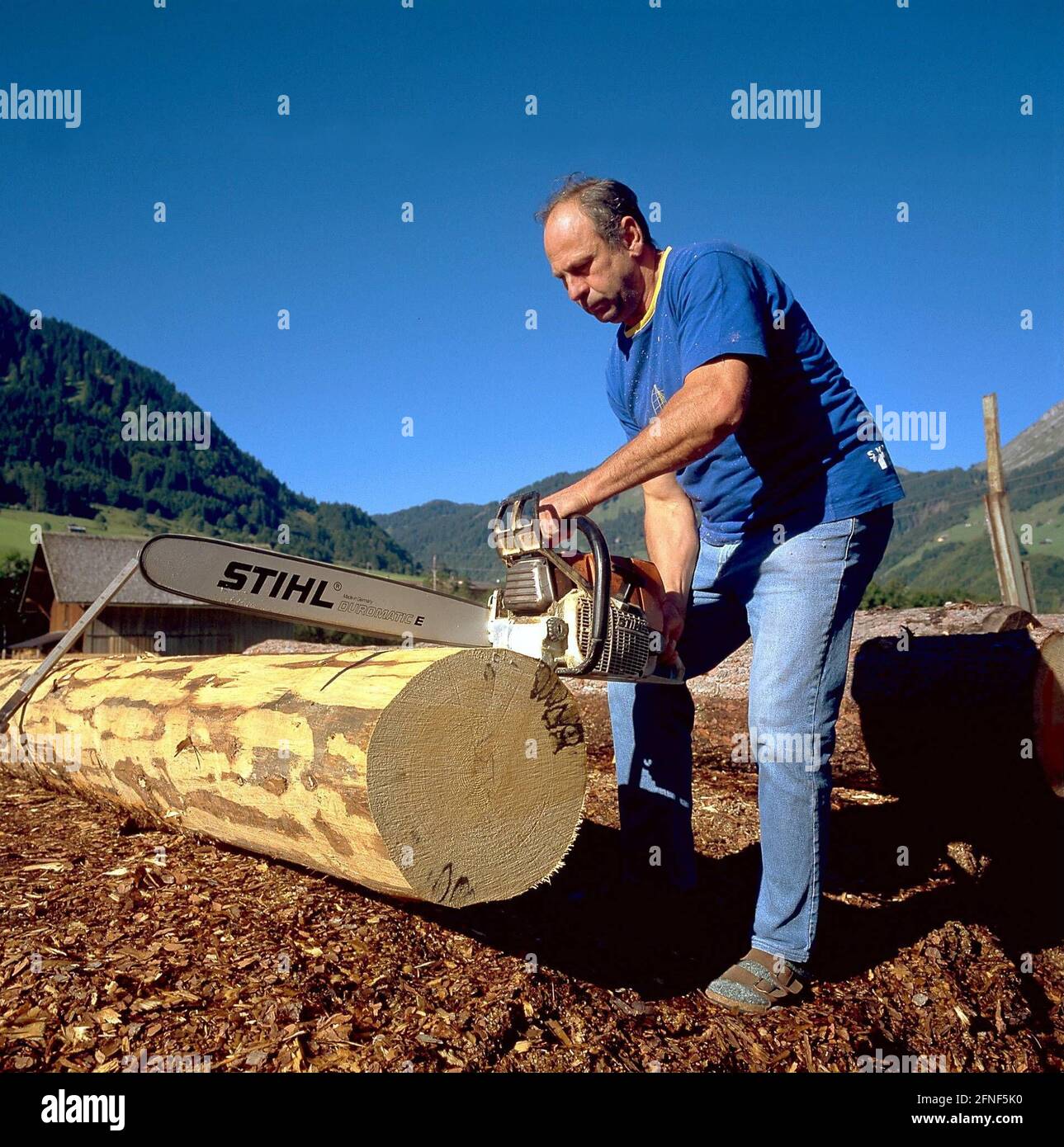 Worker sawing slices from a tree trunk for shingle making. [automated ...