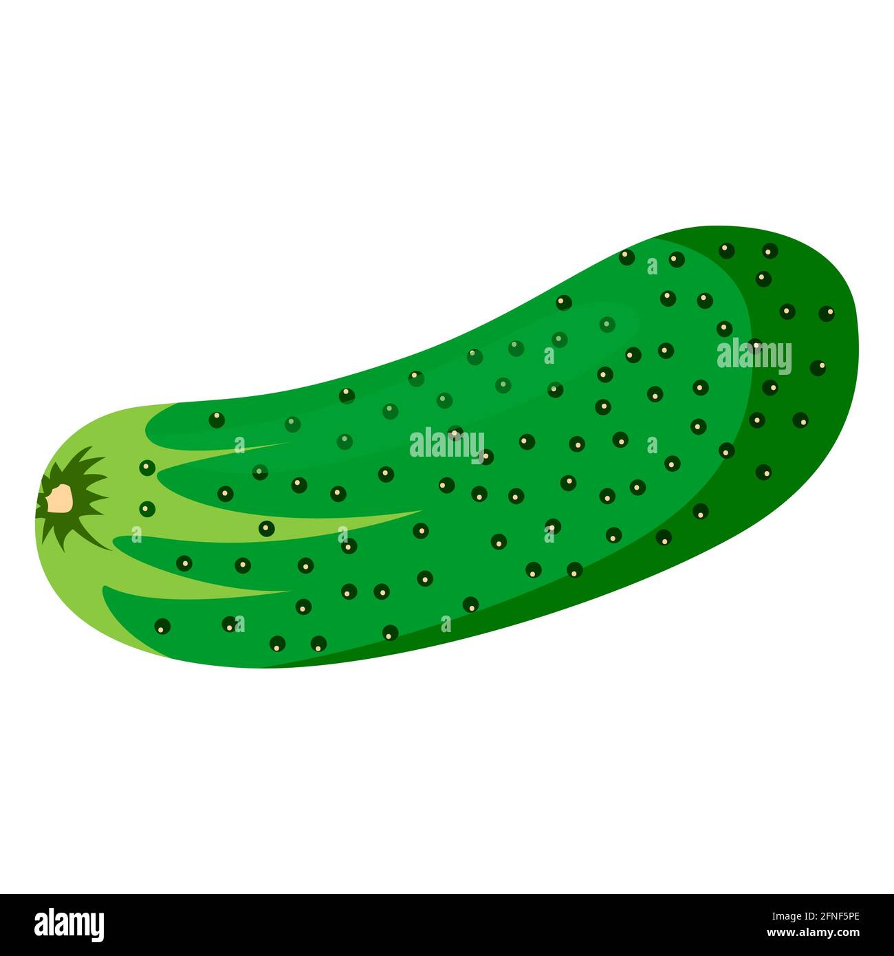 cucumber illustration vector isolated on white background Stock Vector ...