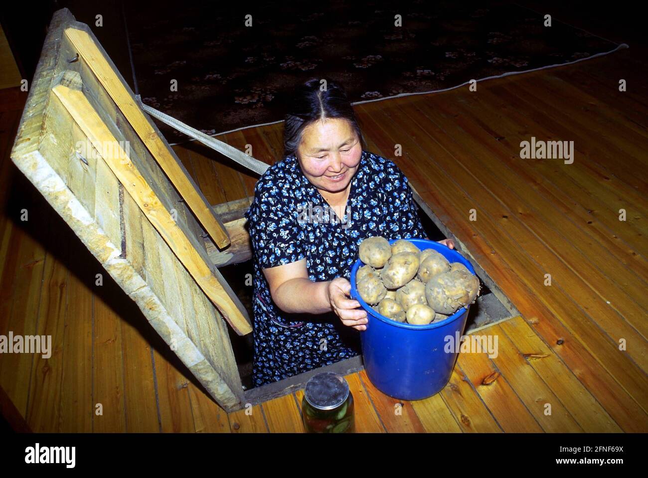Russian woman emerges from a basement hatch with bucket of potatoes ...