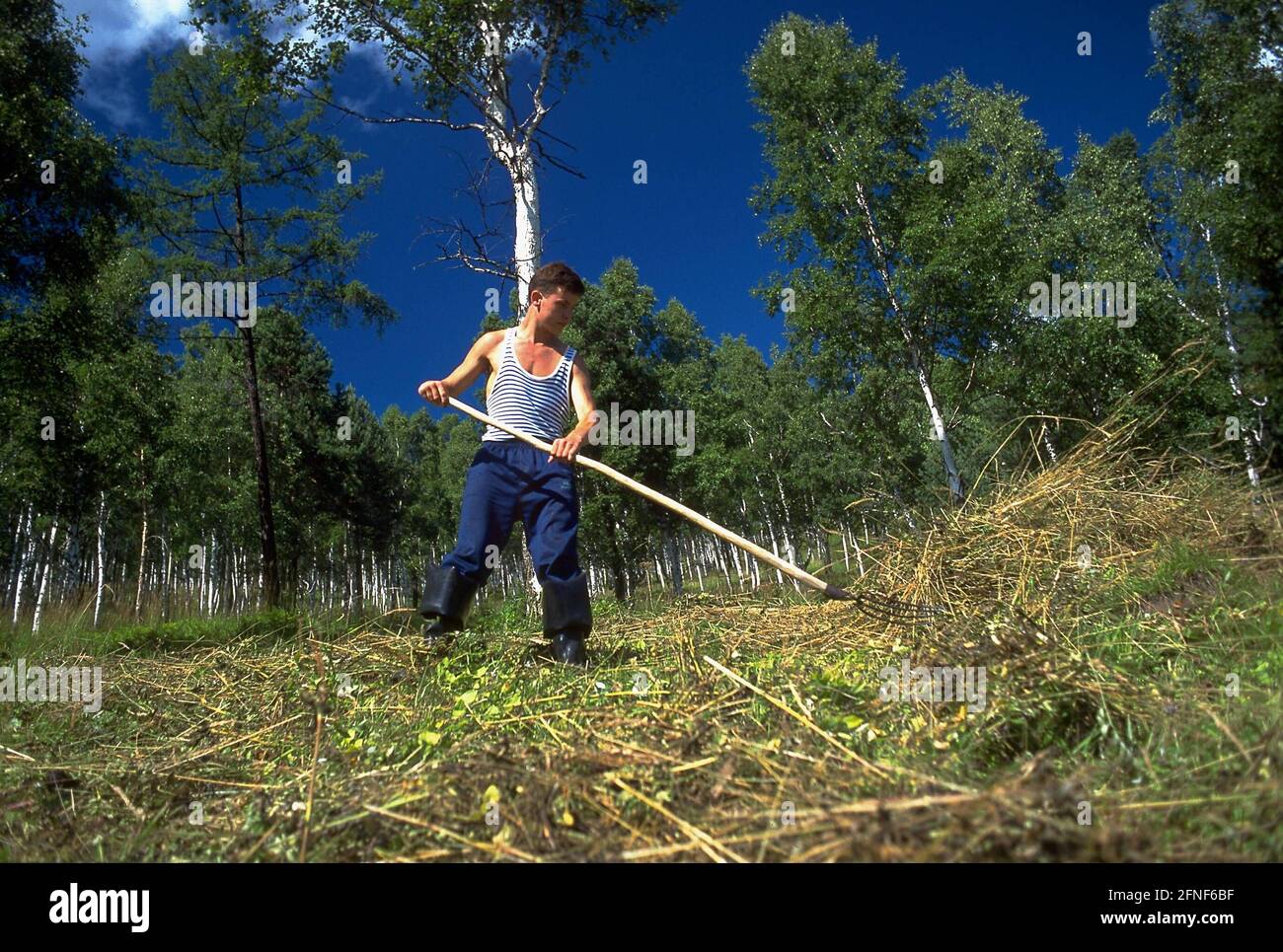 Man with fork harvesting hay. [automated translation] Stock Photo - Alamy