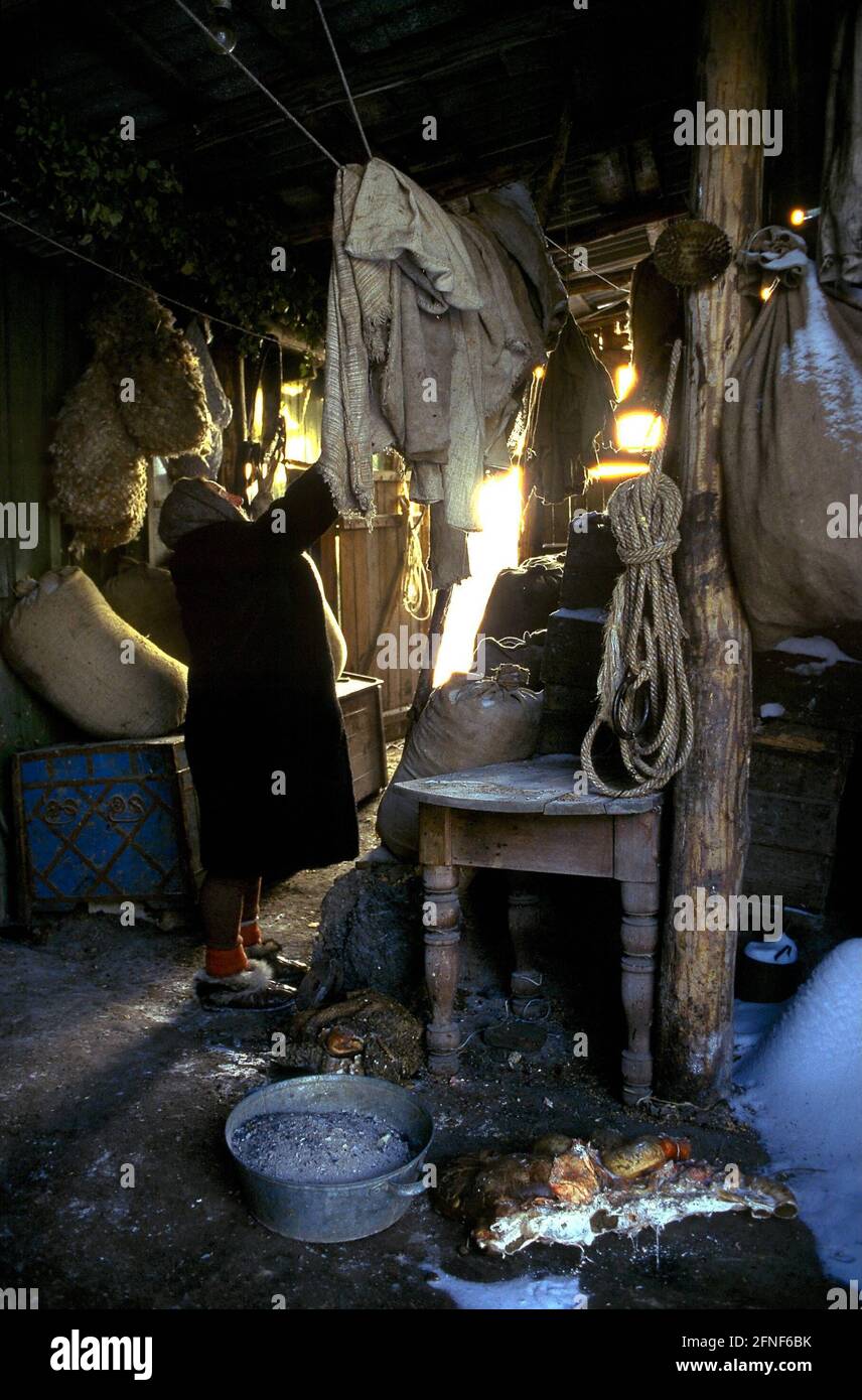 Russian in her pantry. [automated translation] Stock Photo - Alamy
