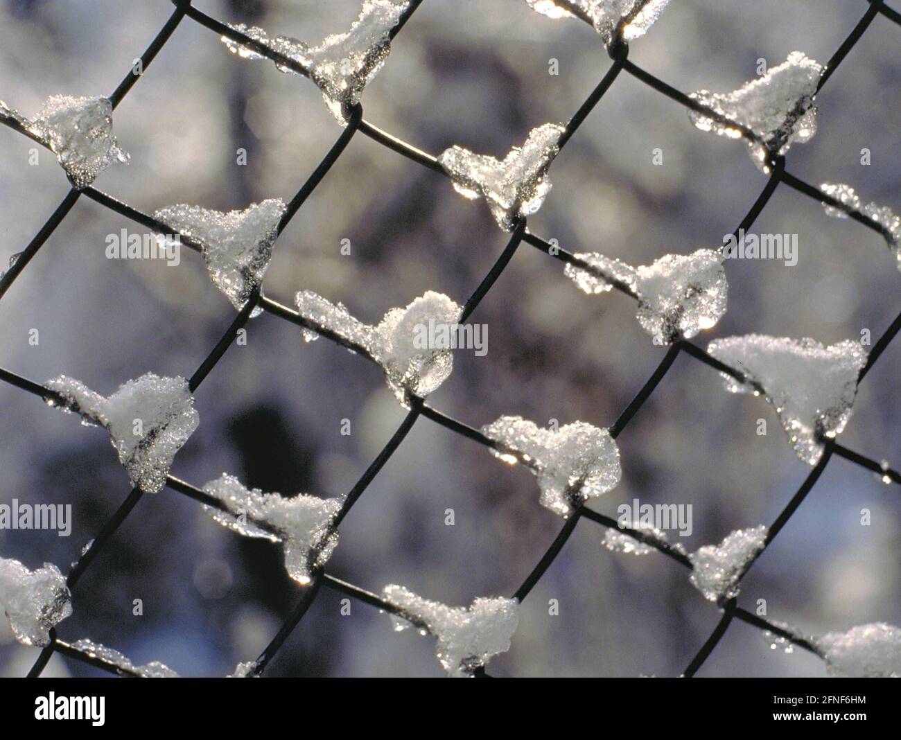 Icy chain-link fence. [automated translation] Stock Photo - Alamy