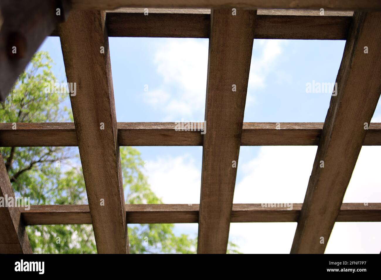 Low angle shot of a wooden ceiling grid Stock Photo - Alamy