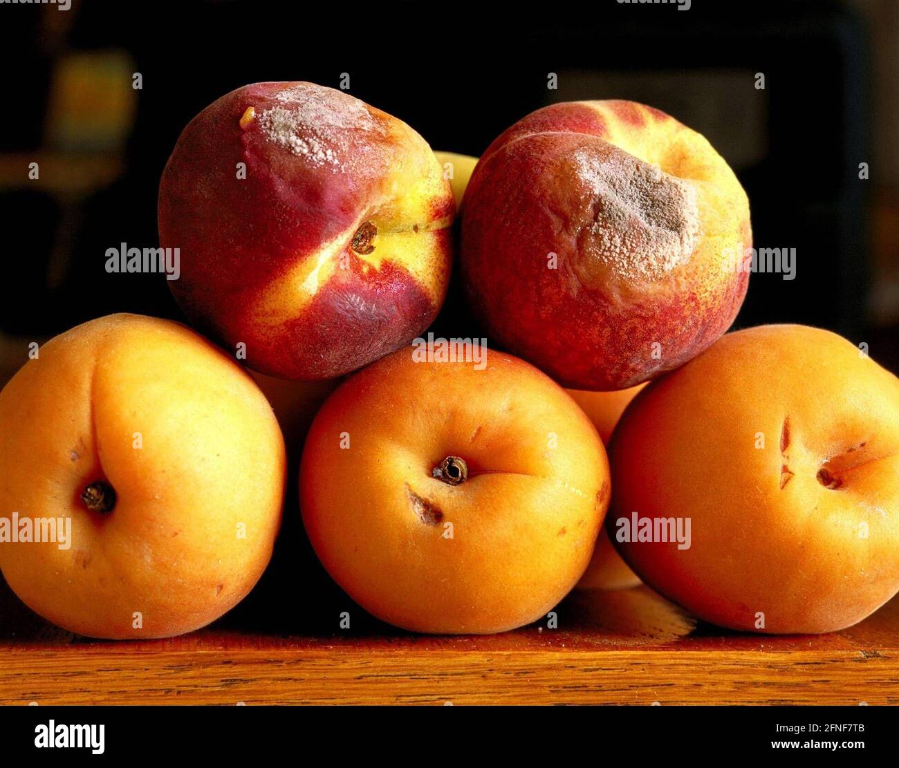 Rotten moldy peaches hi-res stock photography and images - Alamy
