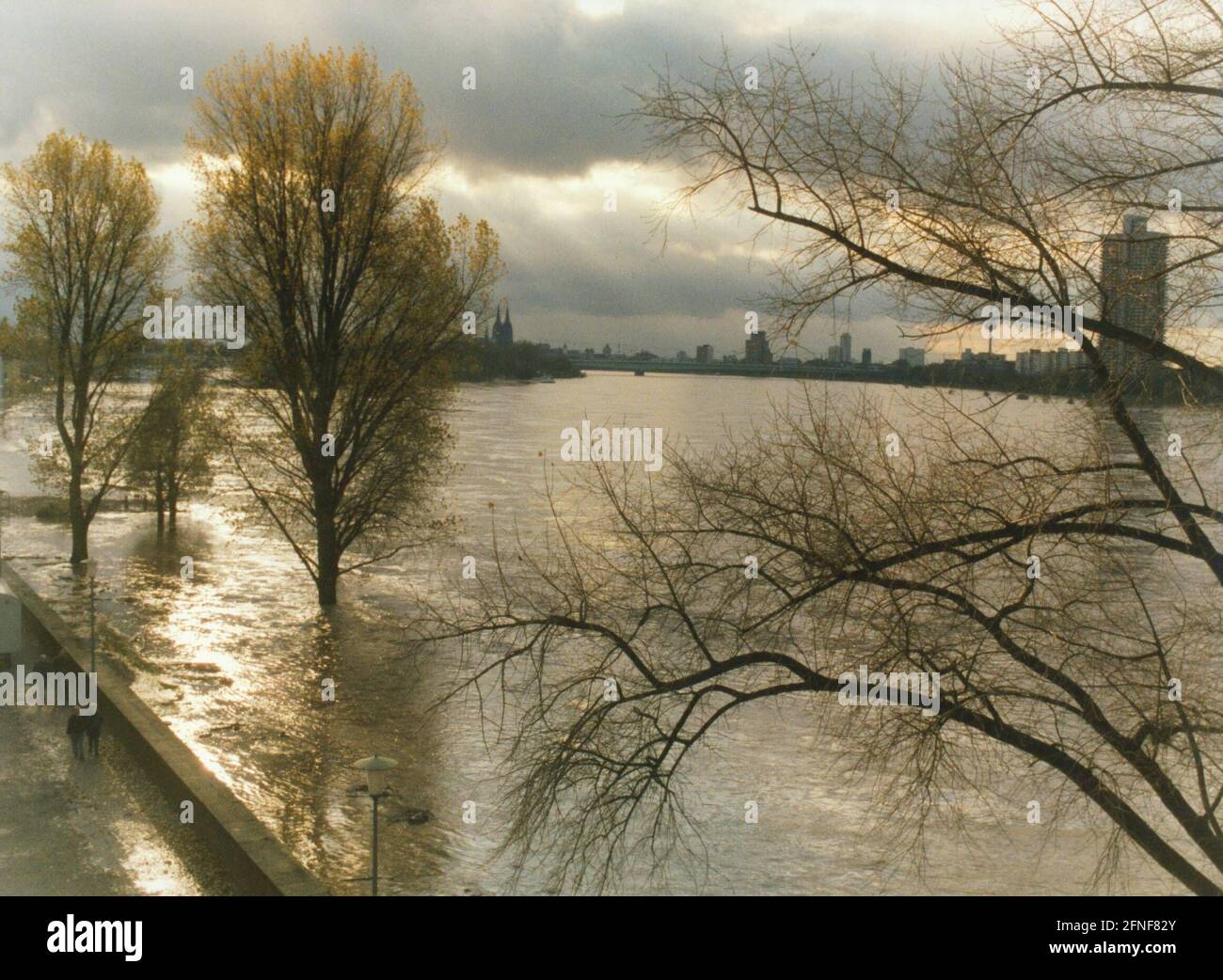 The Rhine in front of Cologne during high water. [automated translation ...