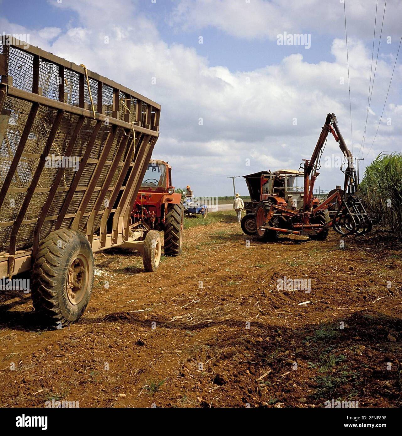 Agricultural vehicles are used in the sugar cane harvest in Cuba ...