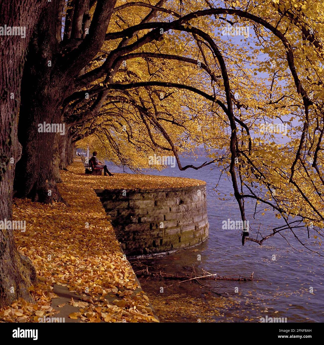 Autumn idyll in Bad Schachen near Lindau on Lake Constance. [automated ...
