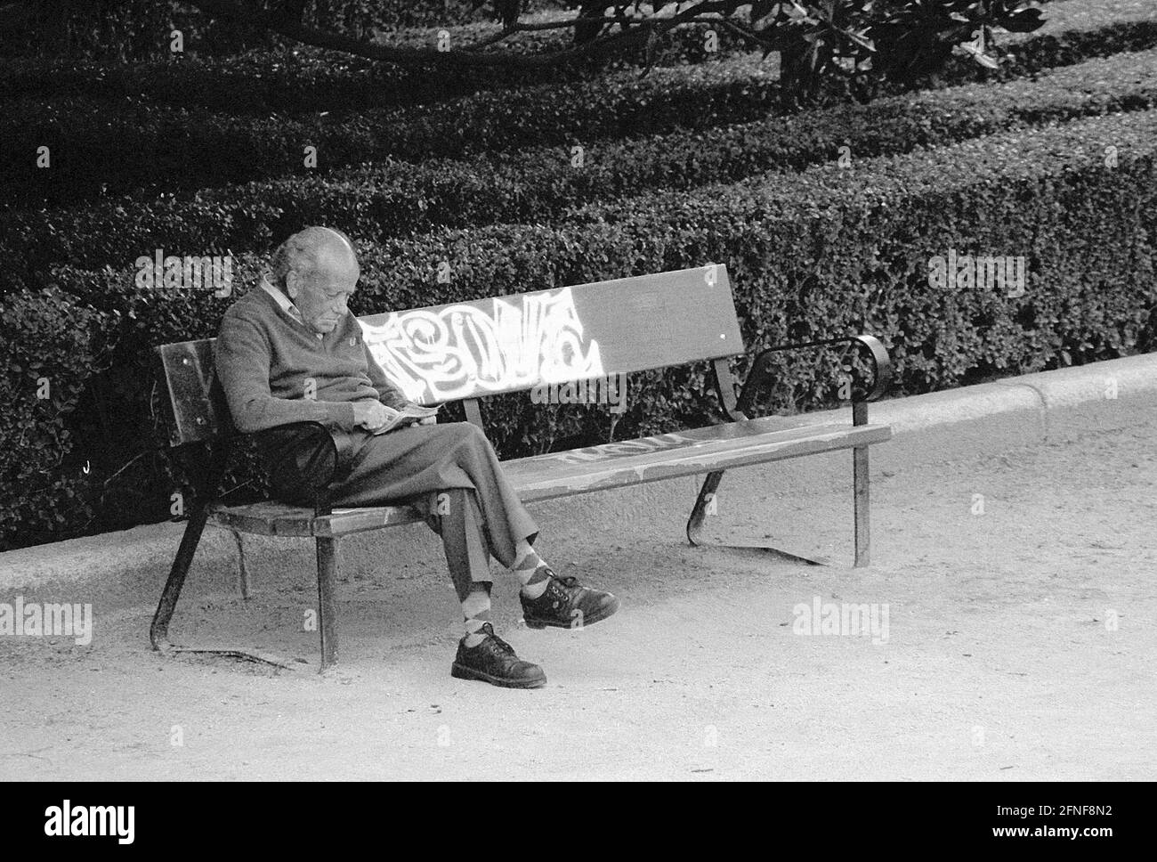Old man reading a book on a park bench. [automated translation] Stock ...