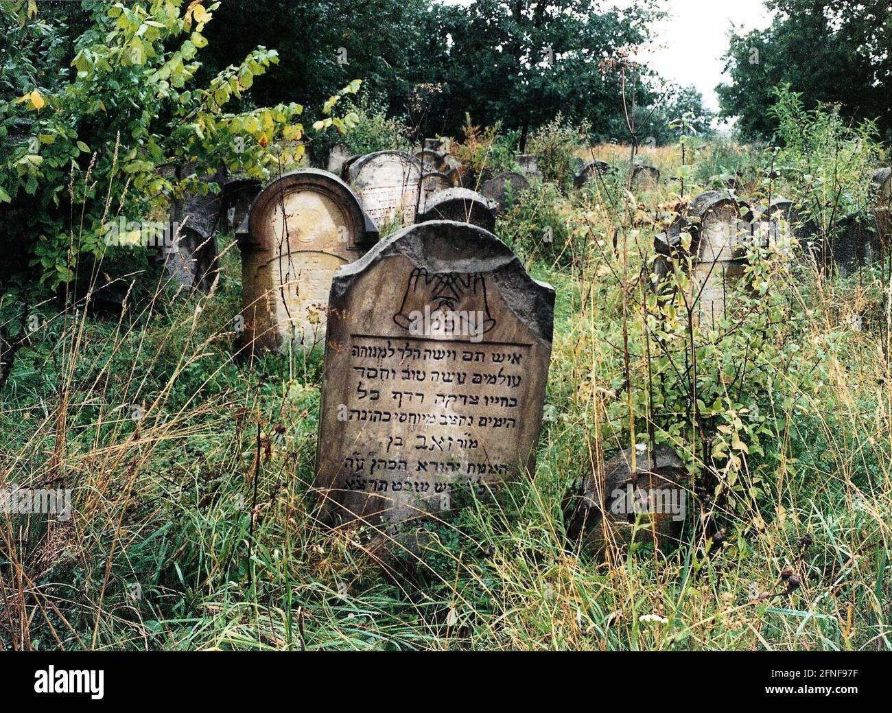 Rare gravestones from the 18th century at the Jewish cemetery in ...