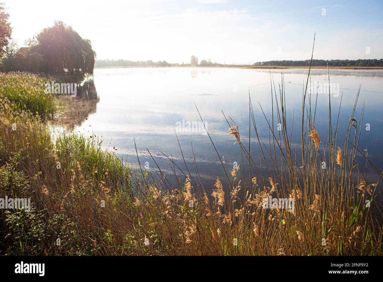 La Brenne National Park, France Stock Photo - Alamy