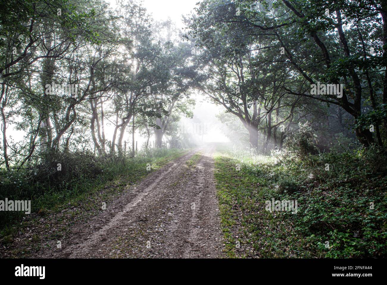 La Brenne National Park, France Stock Photo - Alamy