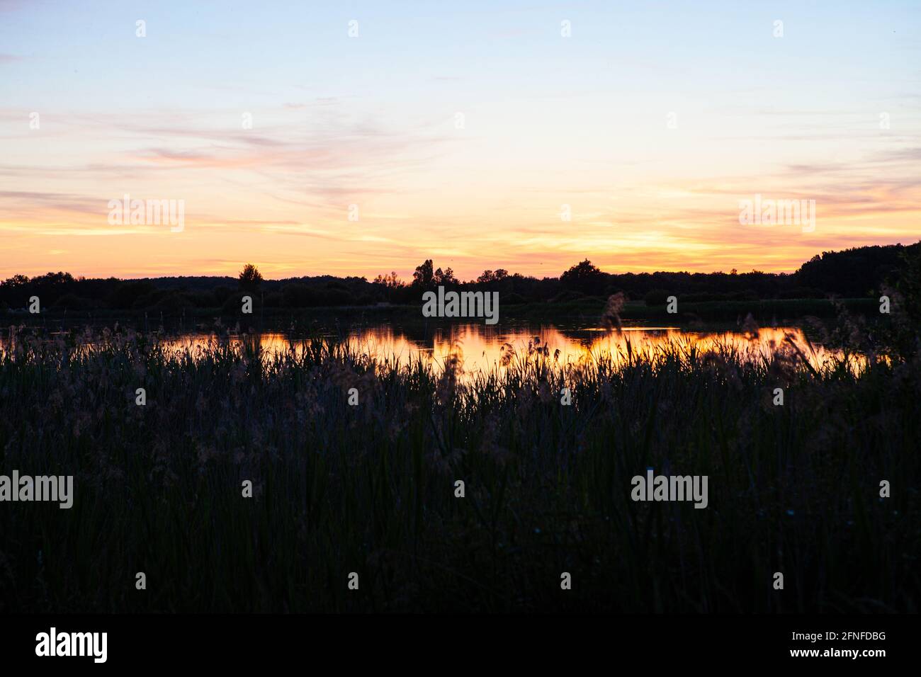 La Brenne National Park, France Stock Photo - Alamy