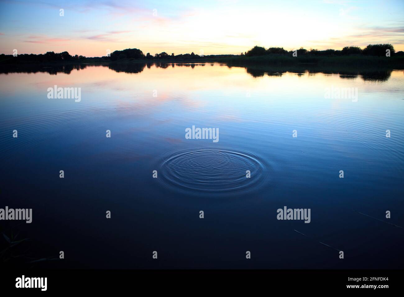 Brenne National Park High Resolution Stock Photography and Images - Alamy