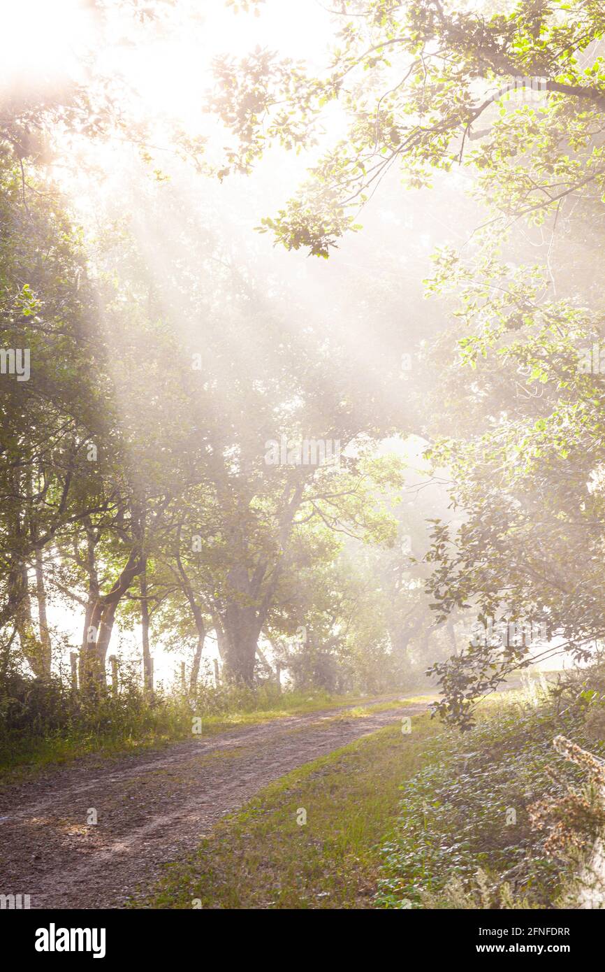 La Brenne National Park, France Stock Photo - Alamy