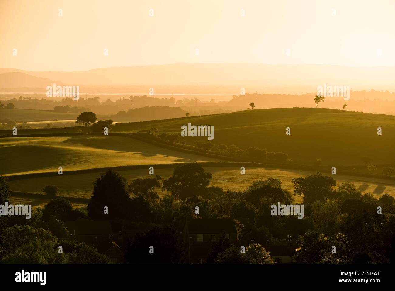 Nether stowey spring hi-res stock photography and images - Alamy