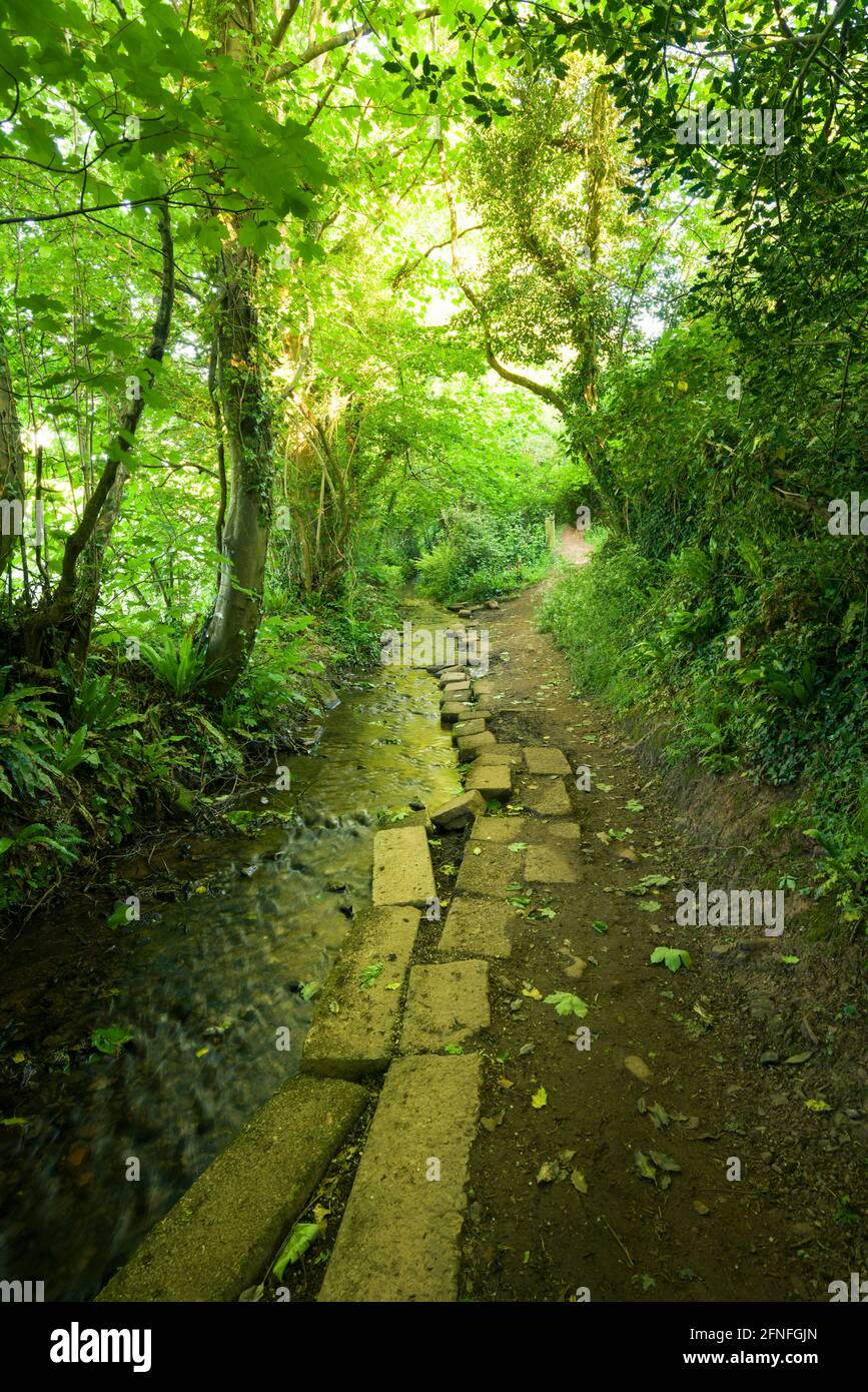 Quantocks coleridge hi-res stock photography and images - Alamy