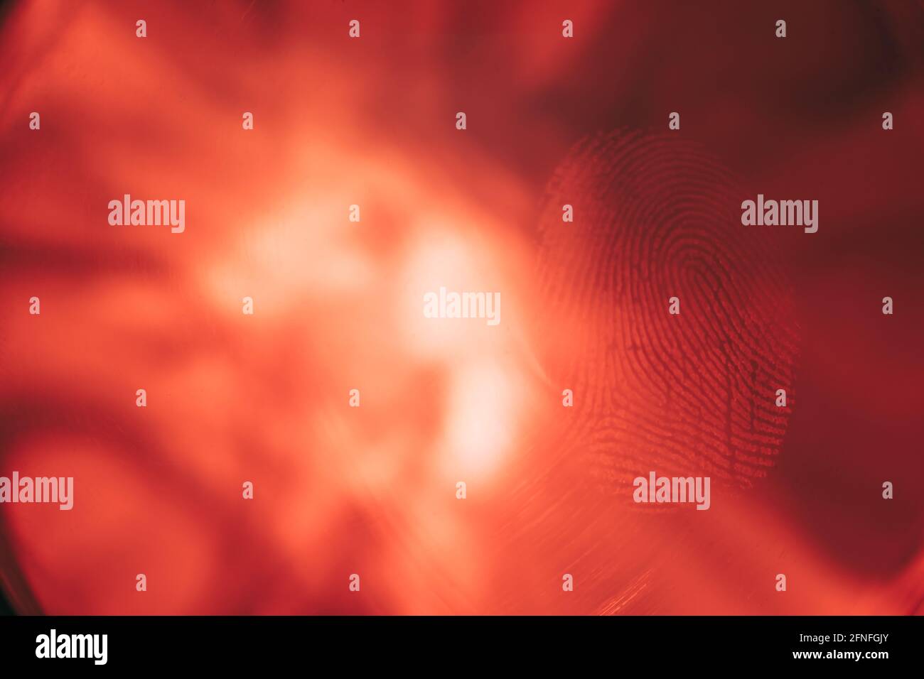 Close up beautiful abstract red colored fingerprint on background ...