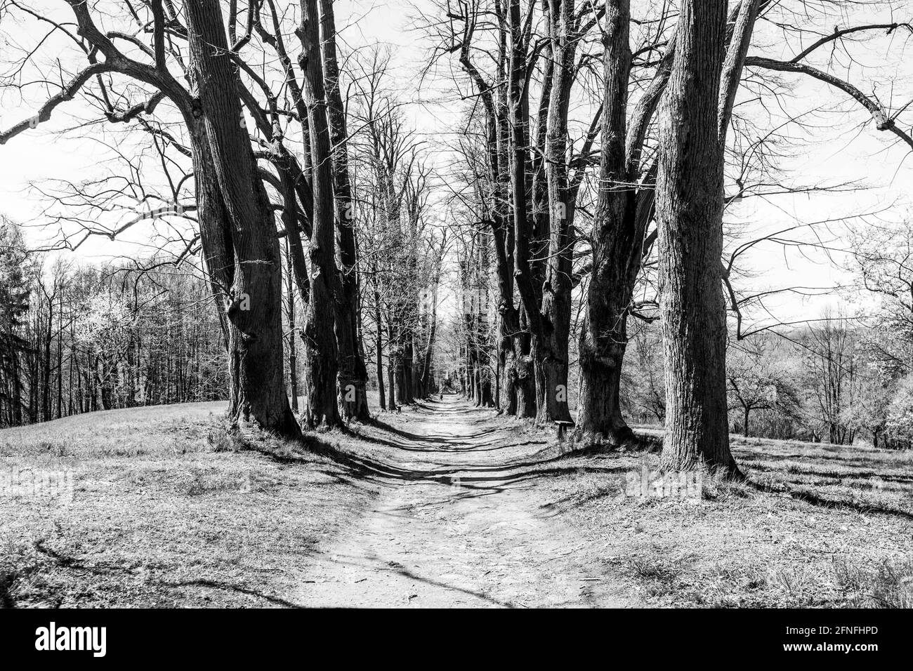 Country lush Black and White Stock Photos & Images - Alamy
