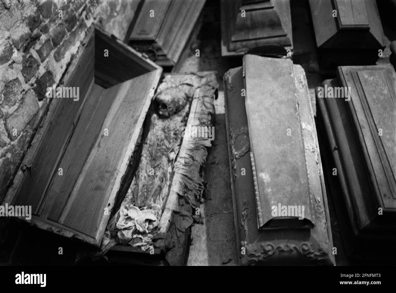 mummified corpse of a child in a coffin in the crypt under the ...