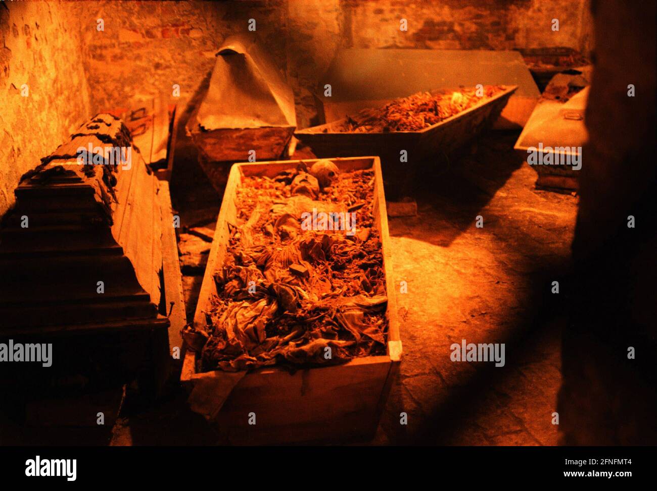 mummified corpse of a child in a coffin in the crypt under the ...