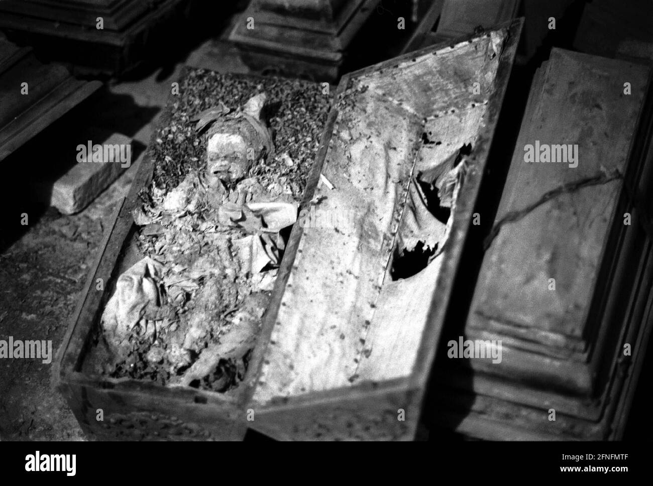 mummified corpse of a child in a coffin in the crypt under the ...
