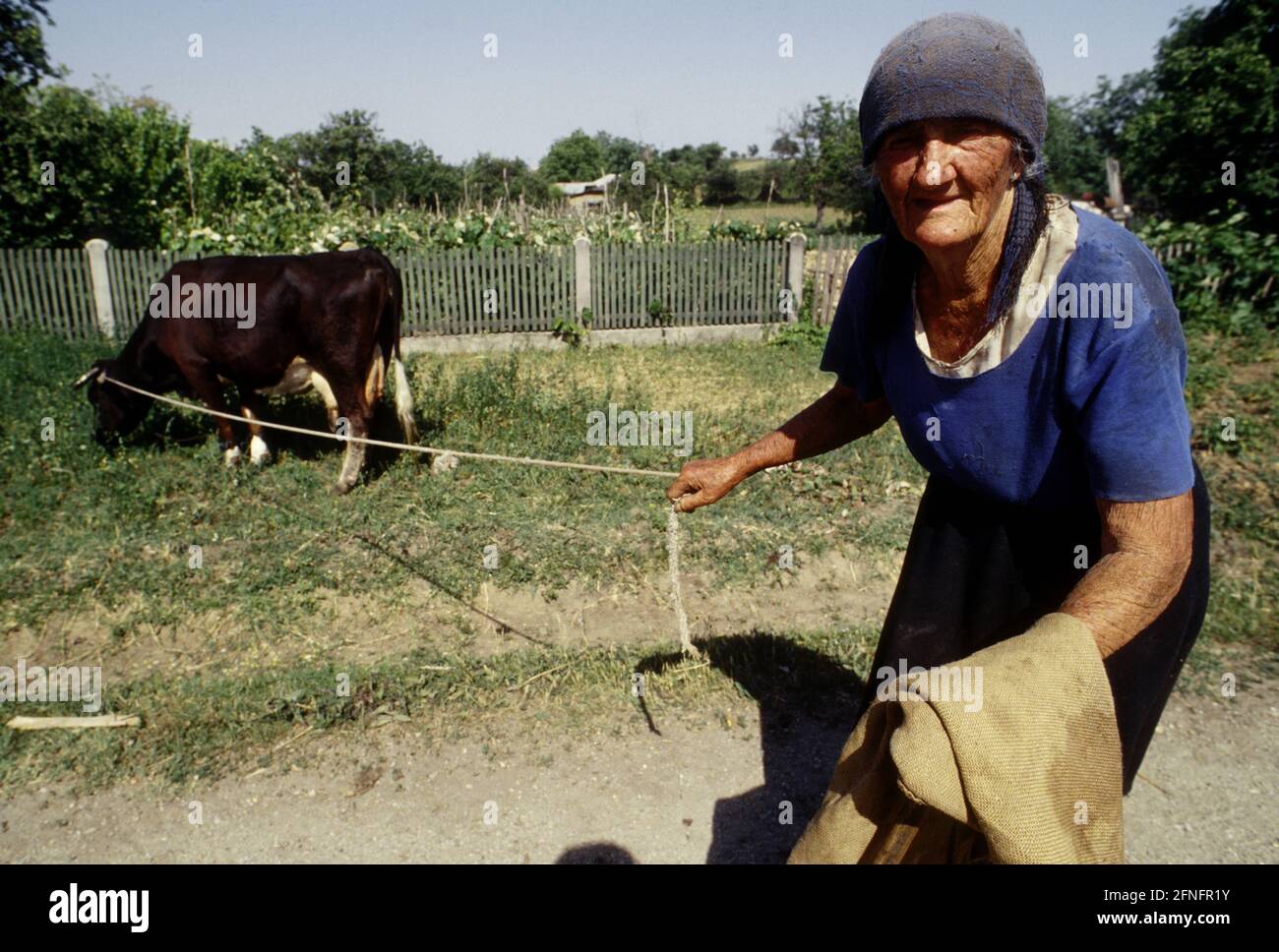 Romania 1994 hi-res stock photography and images - Alamy